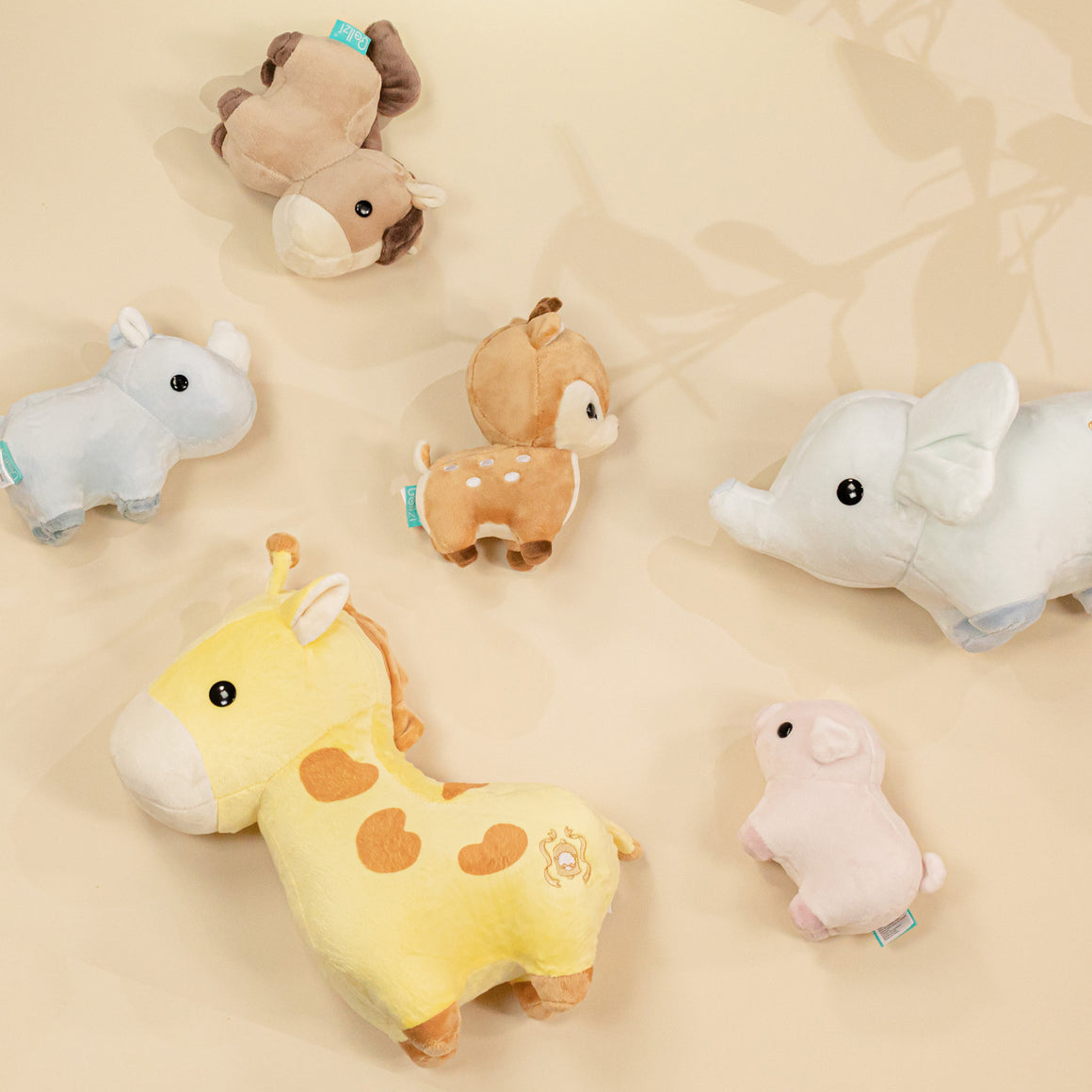 Collections – Bellzi