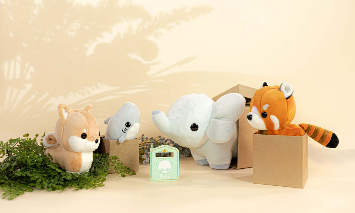 Collections – Bellzi