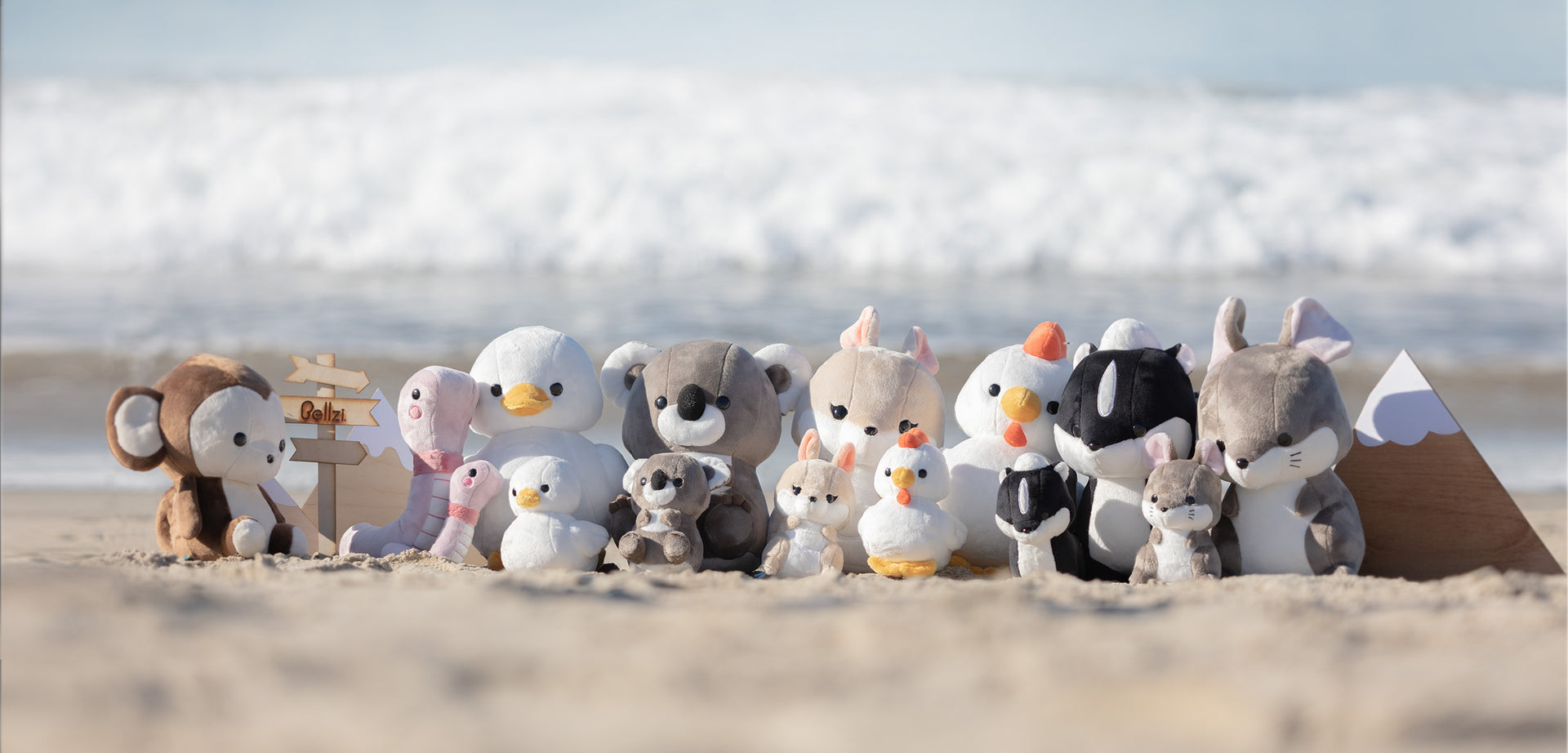 Collections – Bellzi