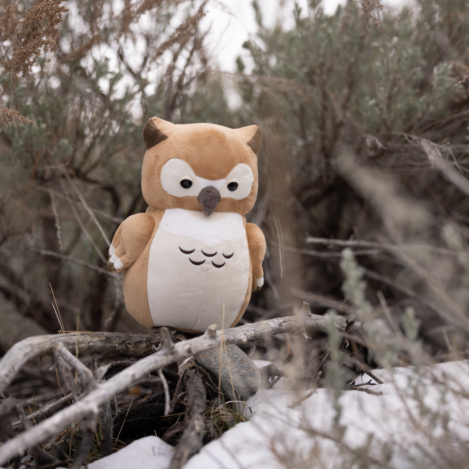 Bird Plushies | Bellzi – Page 2