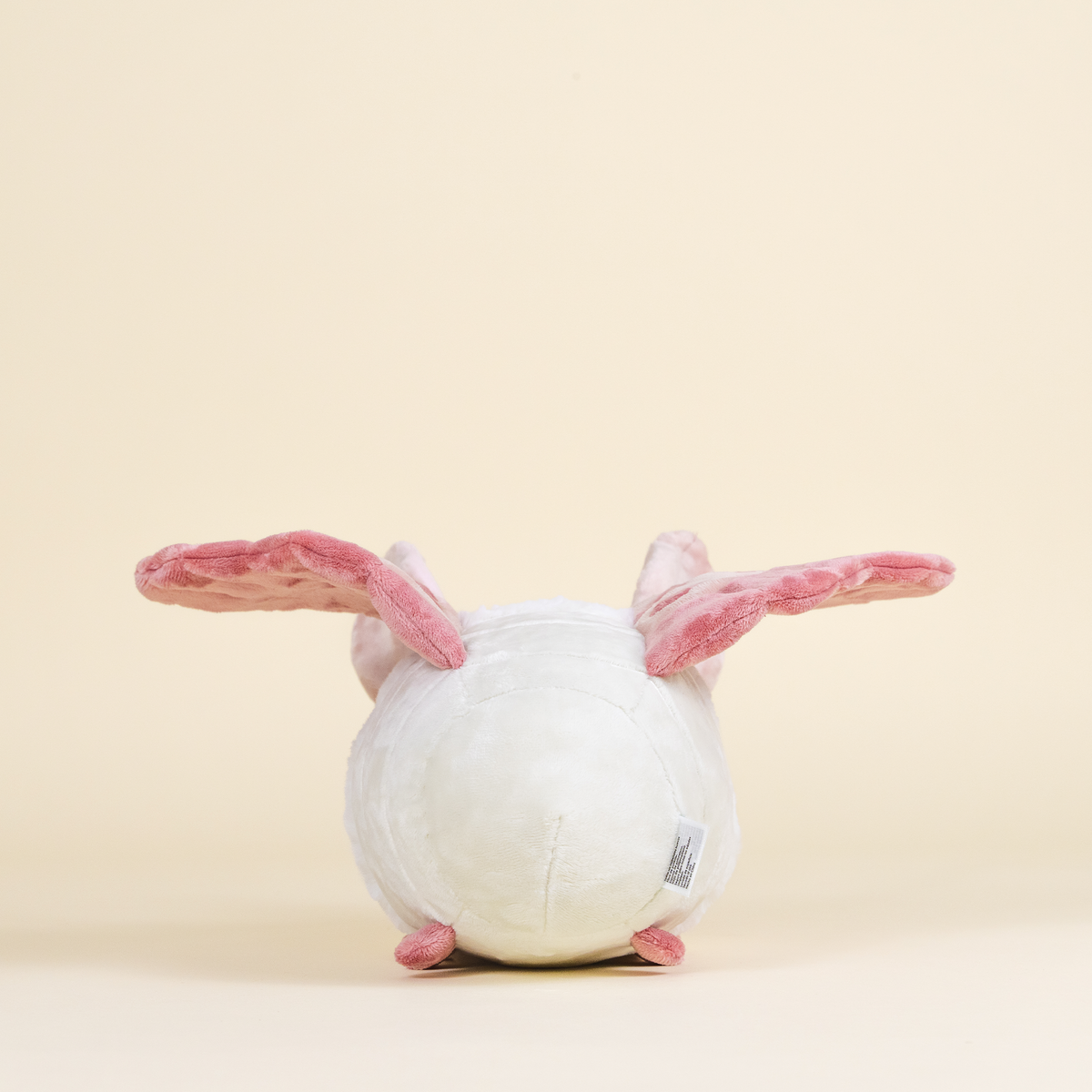 Mothi the Moth – Bellzi