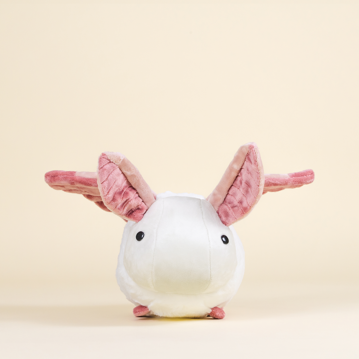 Mothi the Moth – Bellzi