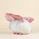 Mothi the Moth – Bellzi