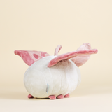 Mothi the Moth – Bellzi