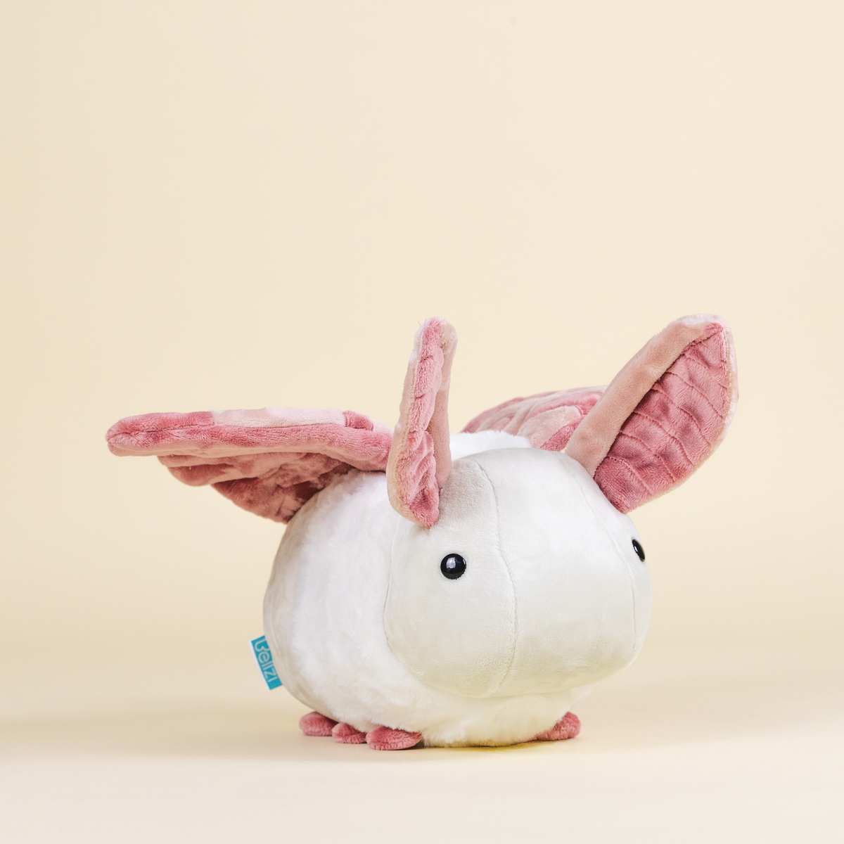 Mothi the Moth – Bellzi