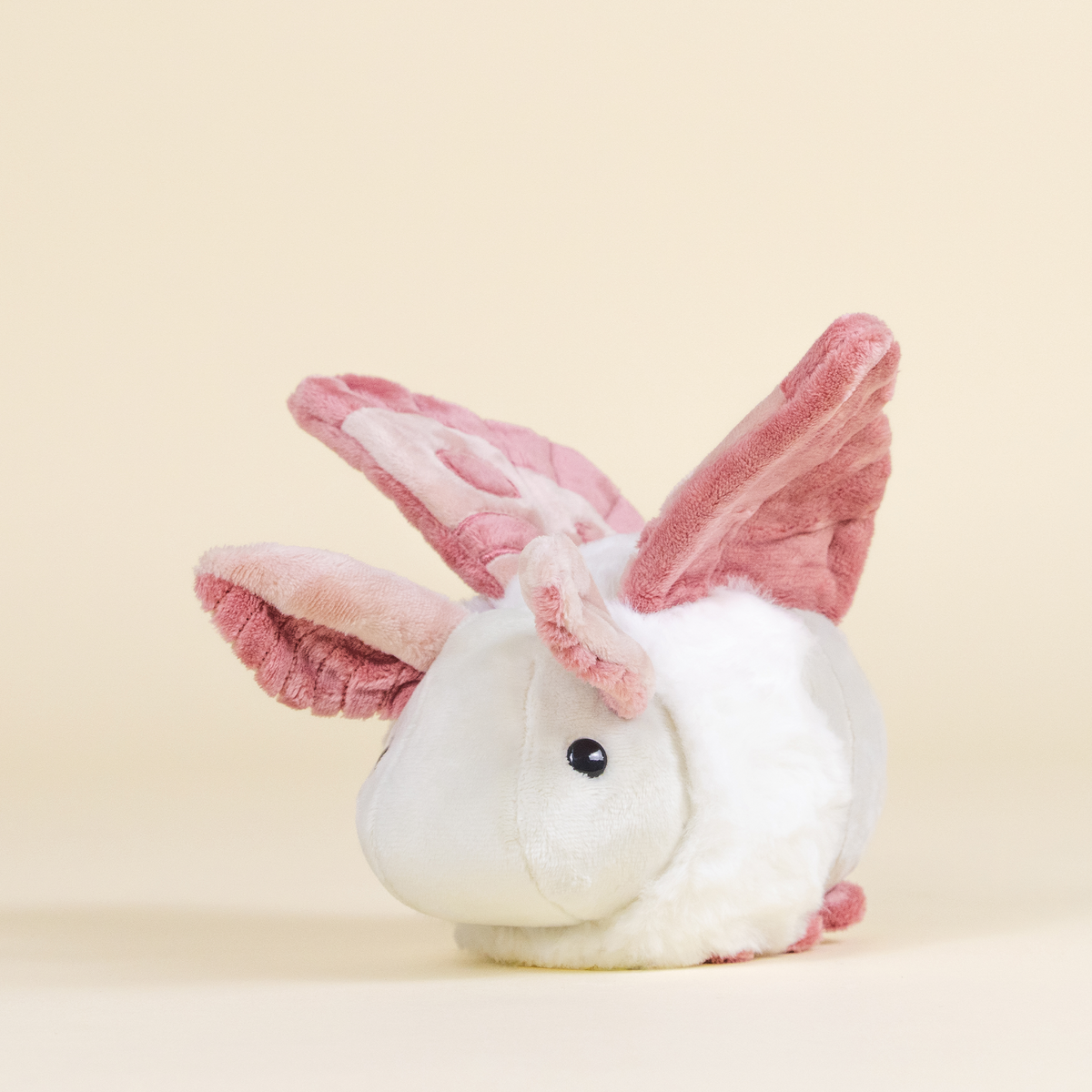 Mini Mothi the Moth – Bellzi