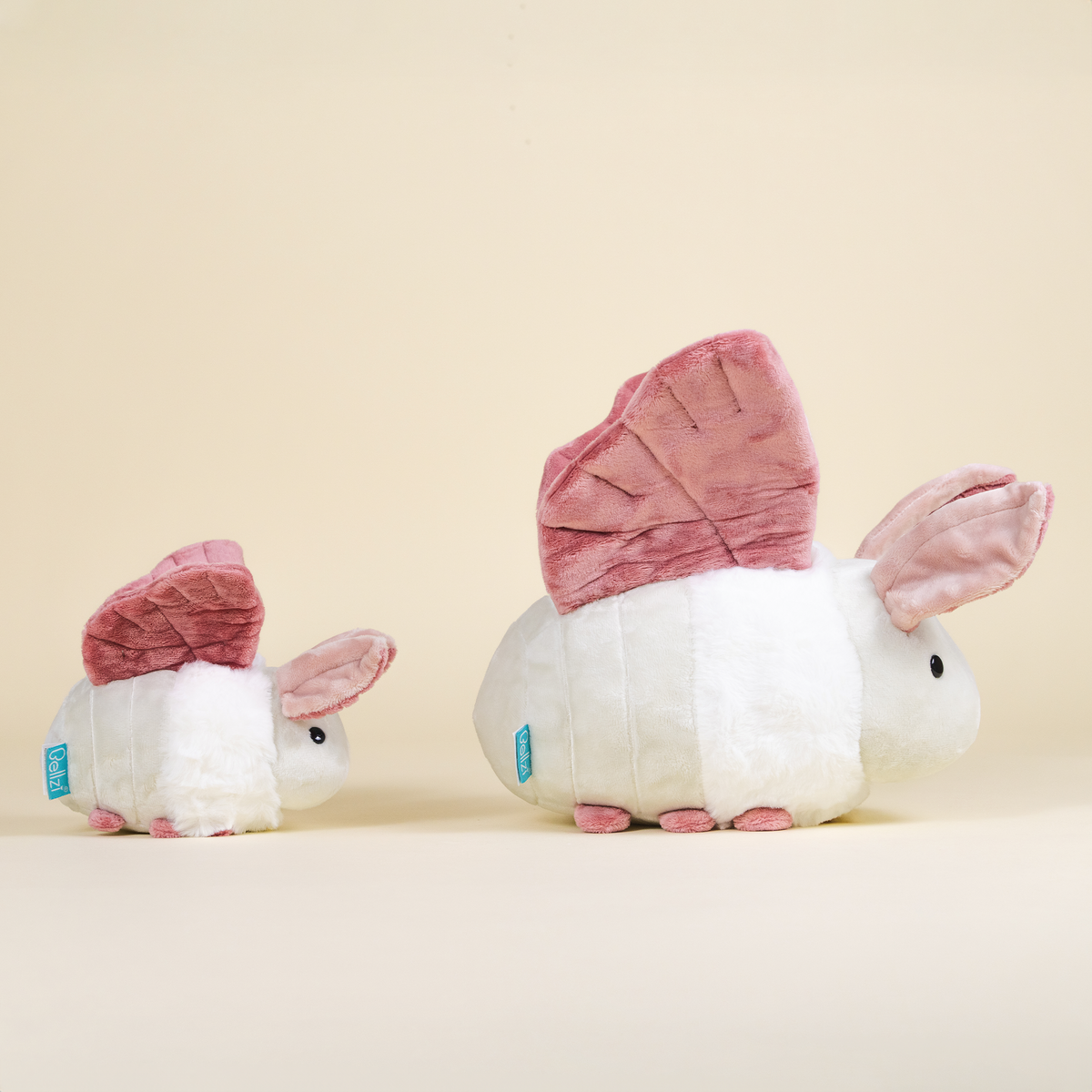 Mothi the Moth – Bellzi