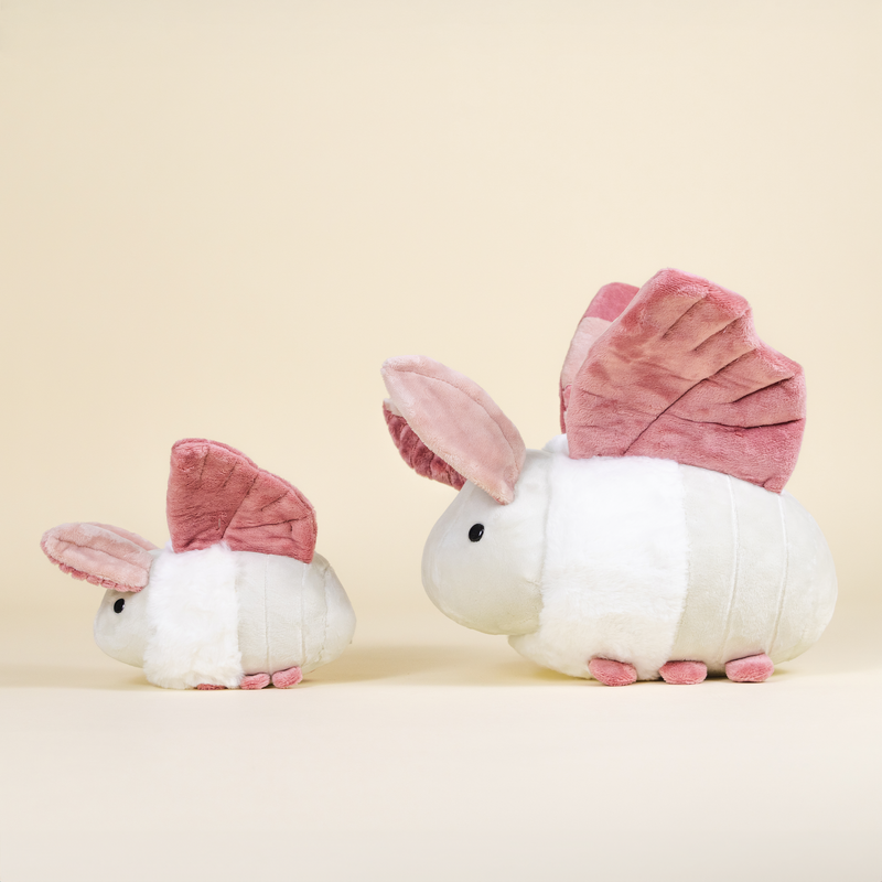 Mothi the Moth – Bellzi