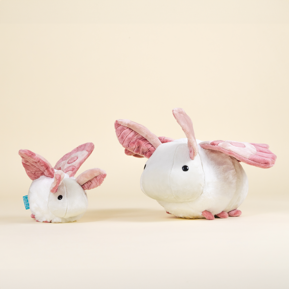 Mothi the Moth – Bellzi