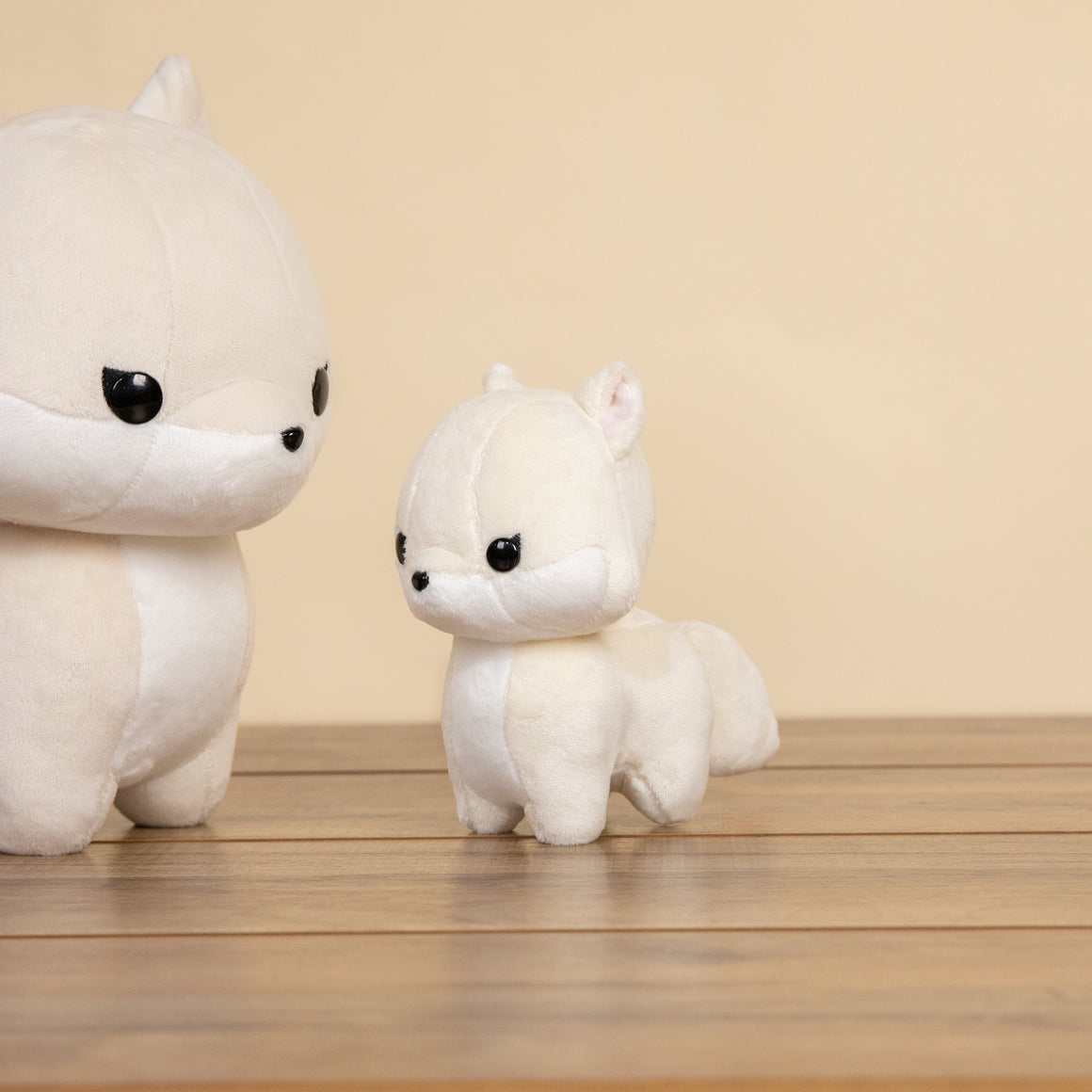 New Products Collection | Bellzi