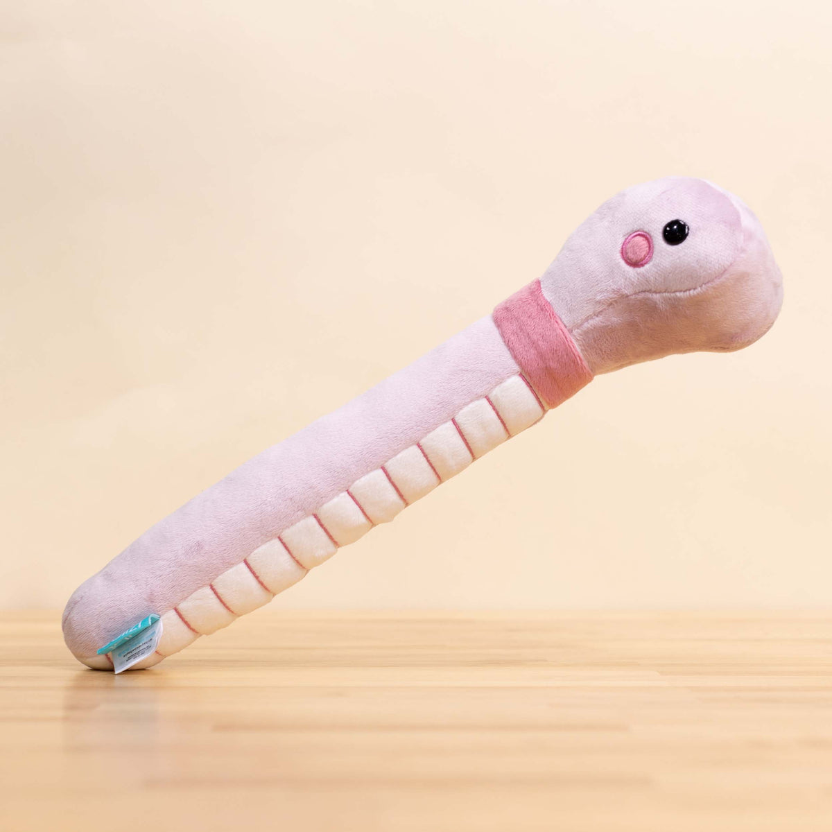 Wormi the Worm - Worm Stuffed Animal | Bellzi